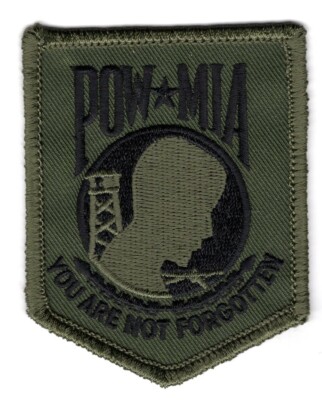 POW MIA YOU ARE NOT FORGOTTEN (ARMY GREEN) MILITARY PATRIOTIC IRON ON ...
