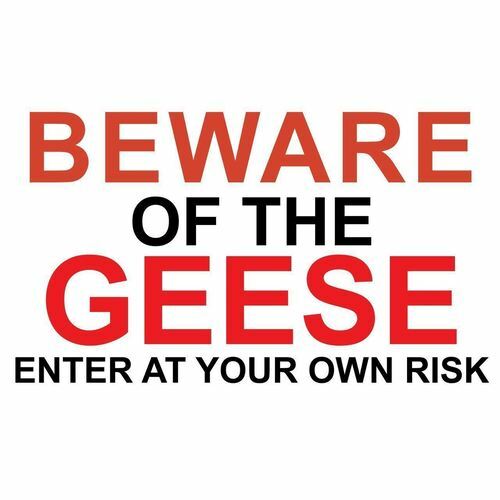 Metal Sign -" BEWARE OF THE GEESE" LARGE 165mmx260mm | eBay