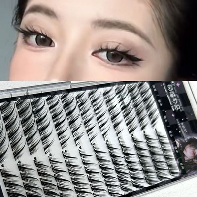 Single Segmented Lashes Individual False Eyelashes Eyelashes Extension ...