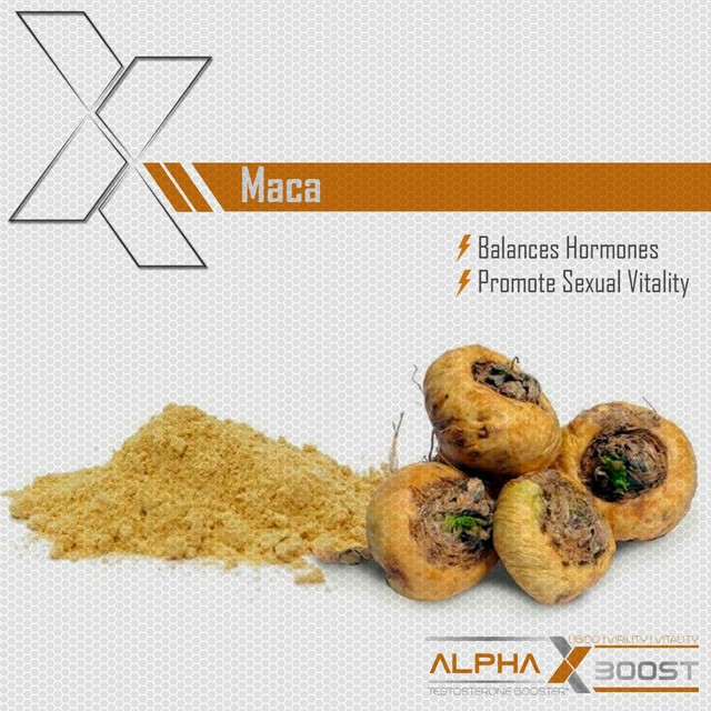 Alpha X BOOST Optimum Performance Technology- Natural Testosterone ...