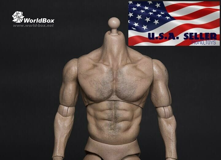 1/6 Muscular Male Figure Body AT012 Strong Durable WORLDBOX For 12 ...
