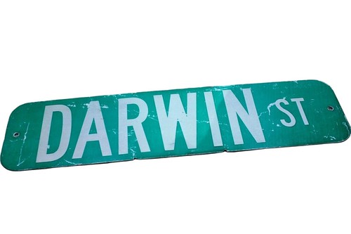 Authentic Road Sign DARWIN ST Real Street Vintage Retired Sign Antique ...