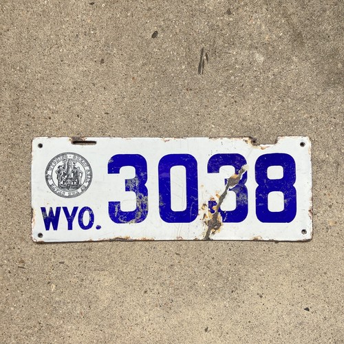 1916 Wyoming Porcelain License Plate Four Digit 3038 White Blue Auto ...