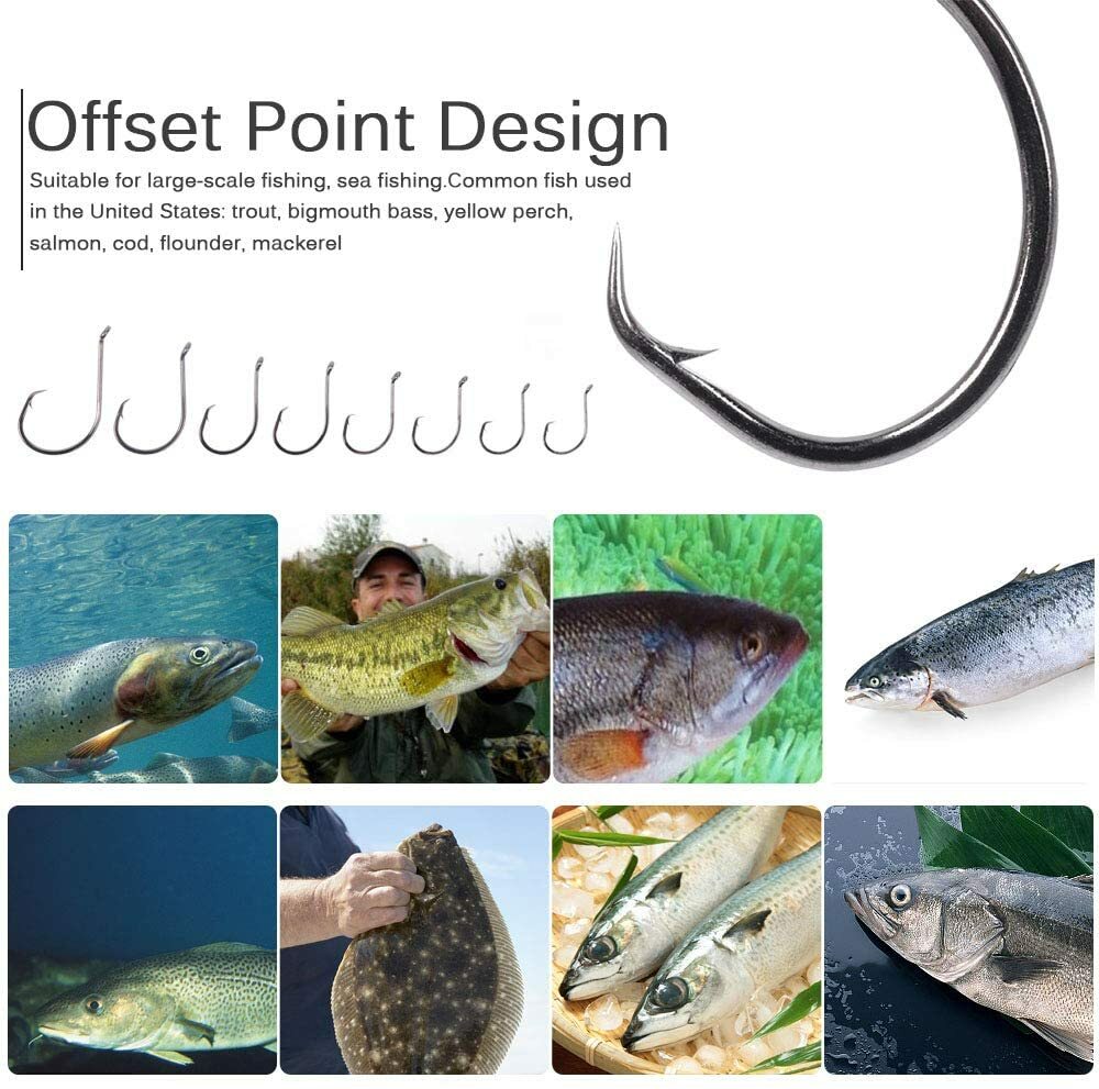 50pcs Fish Strong Offset Sport Circle Fishing Hook Black High Carbon ...
