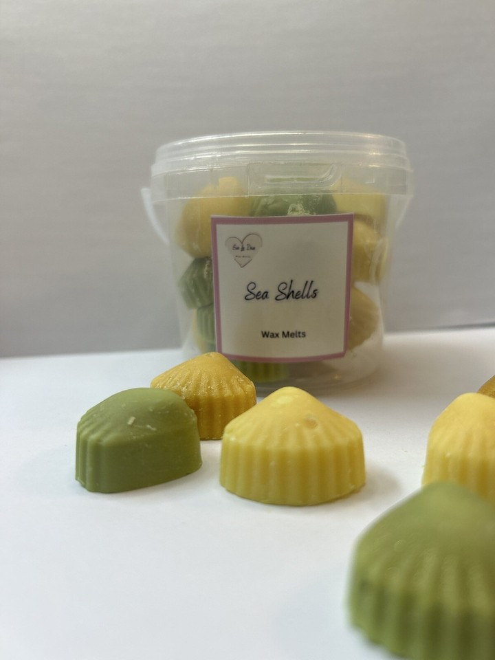 Sea shells WAX TART MELTS (Evaladiva) Strong Candle Wax Melts 8oz | eBay