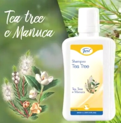 Just Shampoo tea tree FORMATO GRANDE 250 ML EDIZIONE LIMITATA | eBay