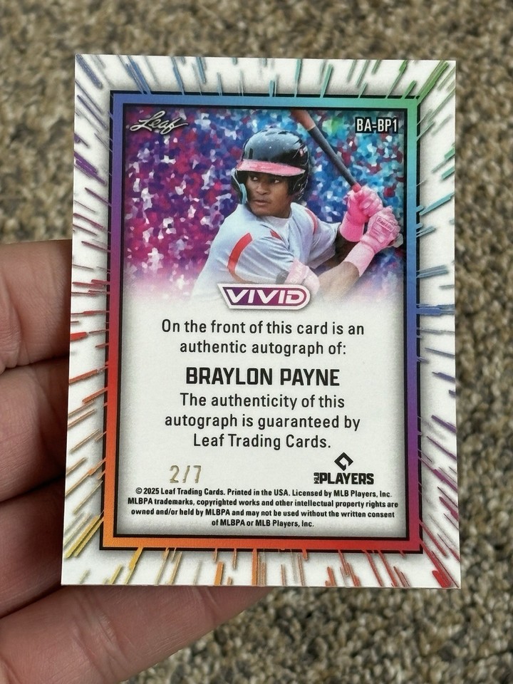 Braylon Payne Auto /7 Brewers Prospect - 2025 Leaf Vivid Baseball | eBay