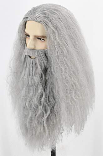 Mens Wigs and Beard Long Gray Cosplay Halloween Costume Wig | eBay