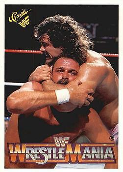 Rick Rude / Jake Roberts 1990 Classic WWF The History of Wrestlemania ...