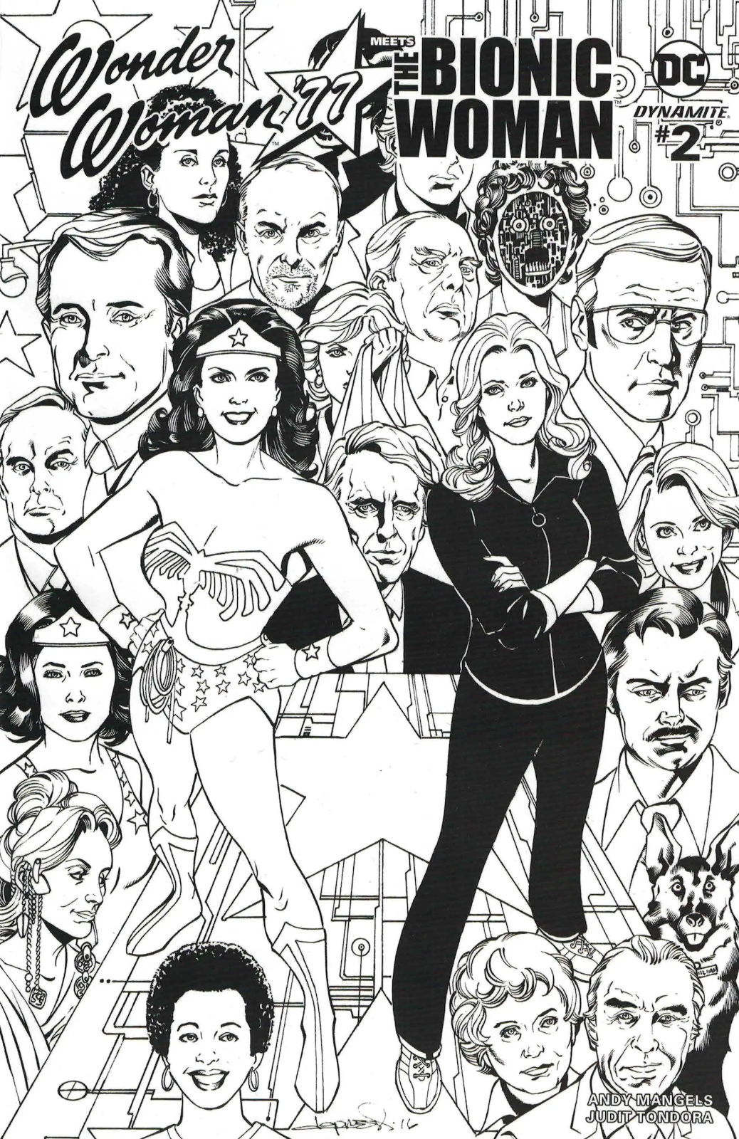 Wonder Woman Bionic Woman #2 Original Cover Art by Aaron Lopresti ...