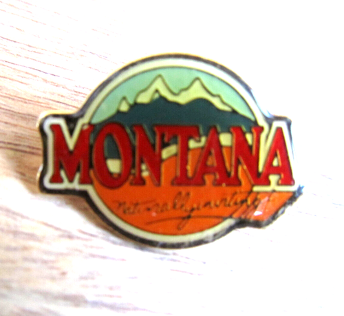 Montana Pin State Travel Vacation Pinback Helena Billings Missoula ...