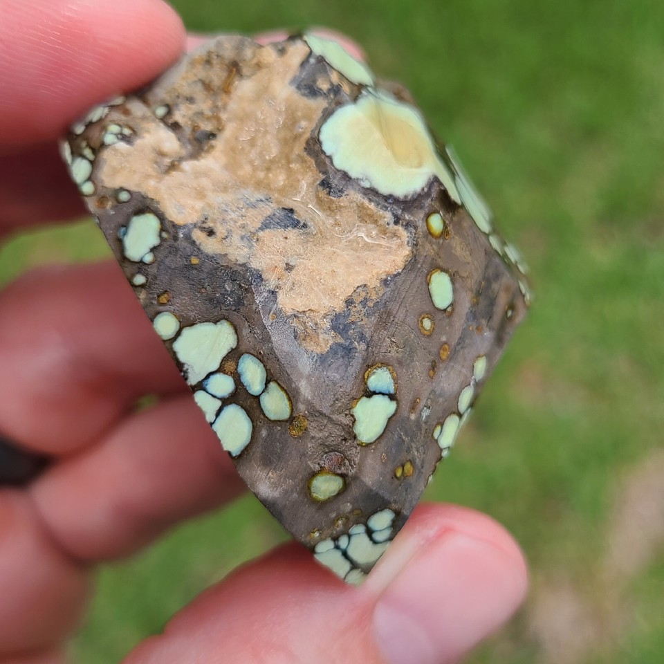 NATURAL STAR FOX VARISCITE ROUGH NEVADA 38.4 GRAMS | eBay