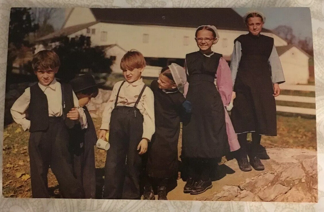 The Amish By John Hostetler And (5)Postcards of Amish Life | eBay