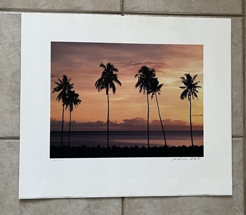 CHARLIE WAITE Millennium Dawn Fiji Palm Trees Signed Photograph Print ...