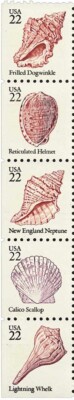 United States 22¢ Seashells Postage Stamp #2117-21 x 100 singles | eBay