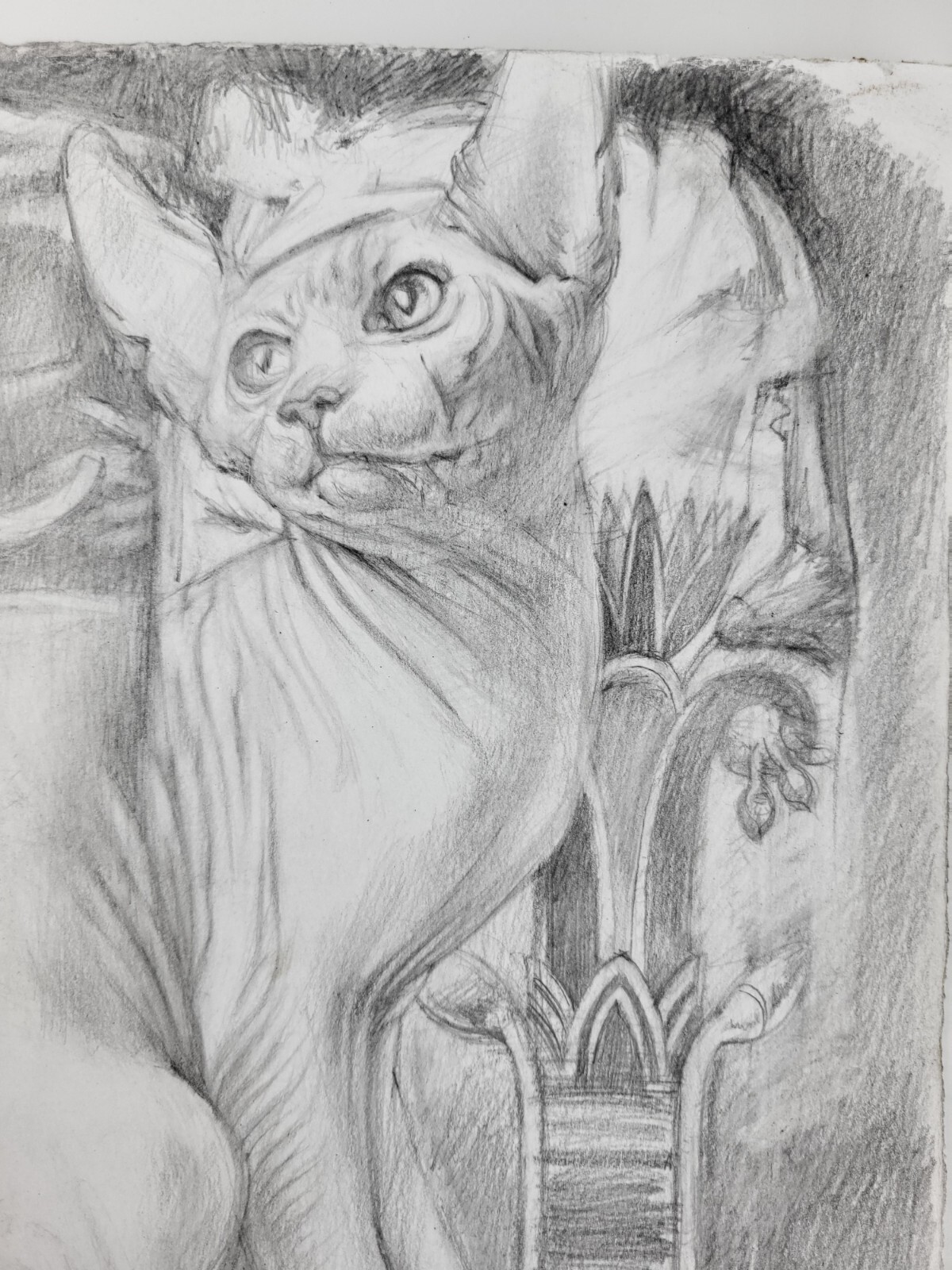 Original pencil drawing of a cat. Sphinx fantasy Art. Myths of Ancient ...