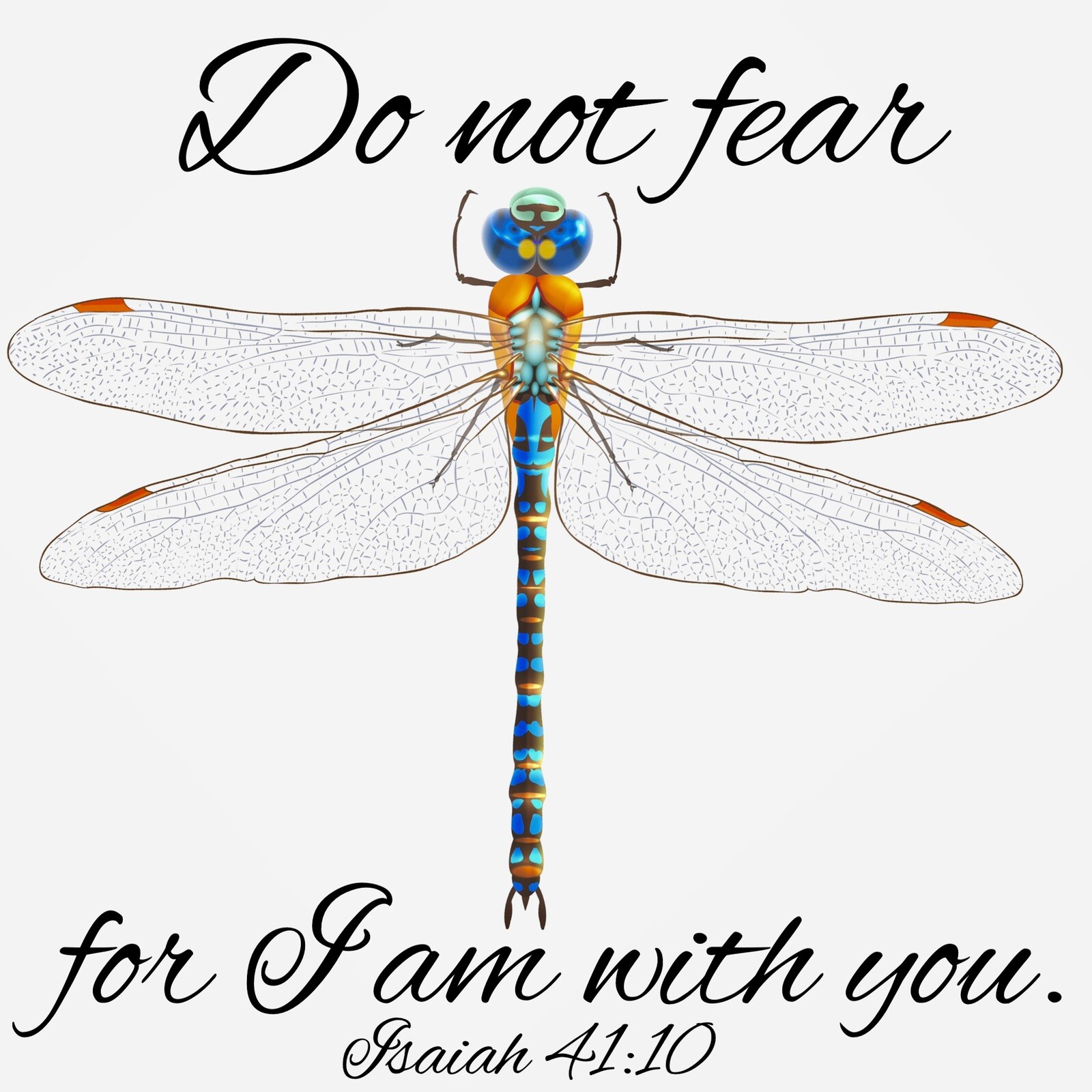 Do Not Fear Dragonfly Sticker Bible Verse Isaiah 41:10 God Love ...