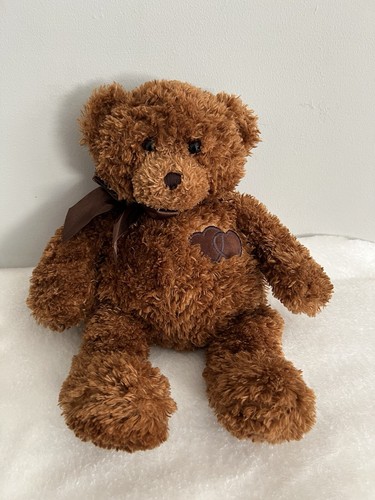 Gund Comfort Cub Brown Teddy Bear Hidden Heart lock Picture Memories ...