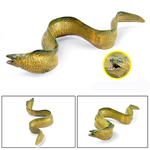Toy Simulation Sealife Marine Organism Moray Eel Model Electric Eel ...