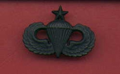 Senior Airborne or Parachutist Badge in subdued combat black | eBay