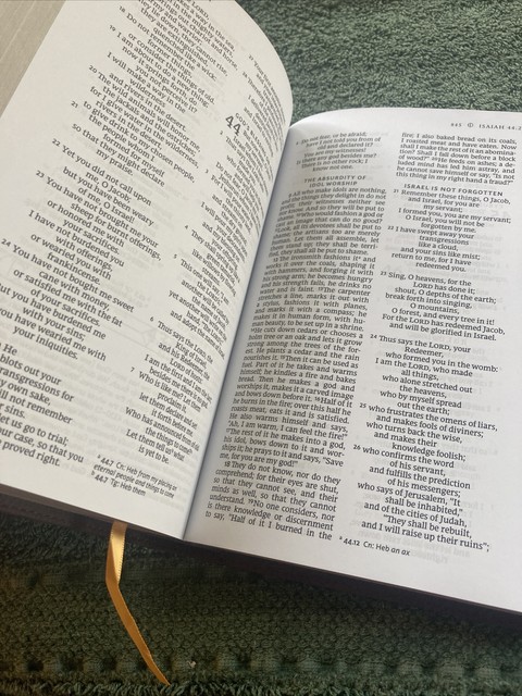 NRSV Simple Faith Bible [Brown] by Zondervan Staff (2020, Imitation ...