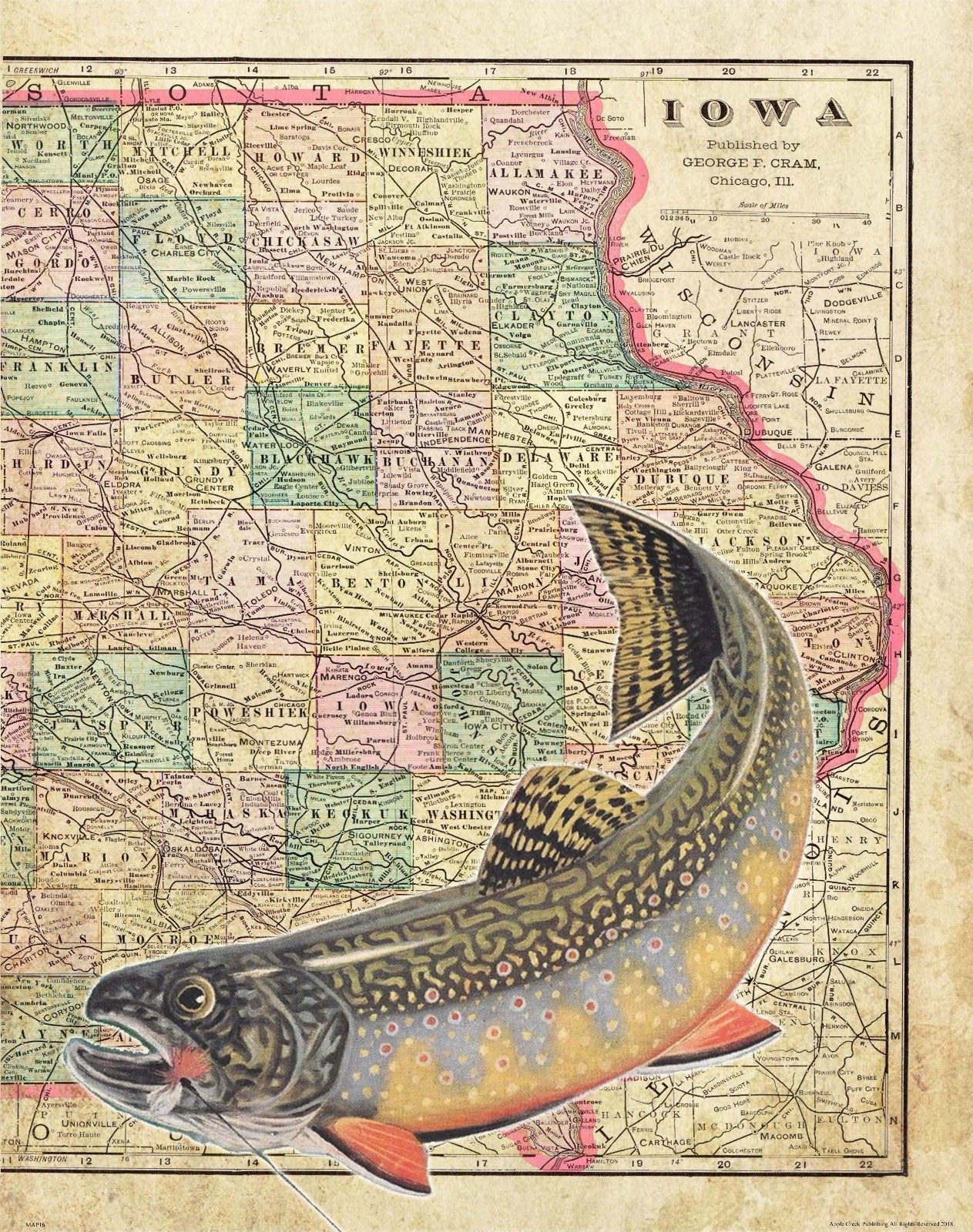 Brook Trout Unlimited Fly Fishing Club Iowa State Map Art Print Flies ...
