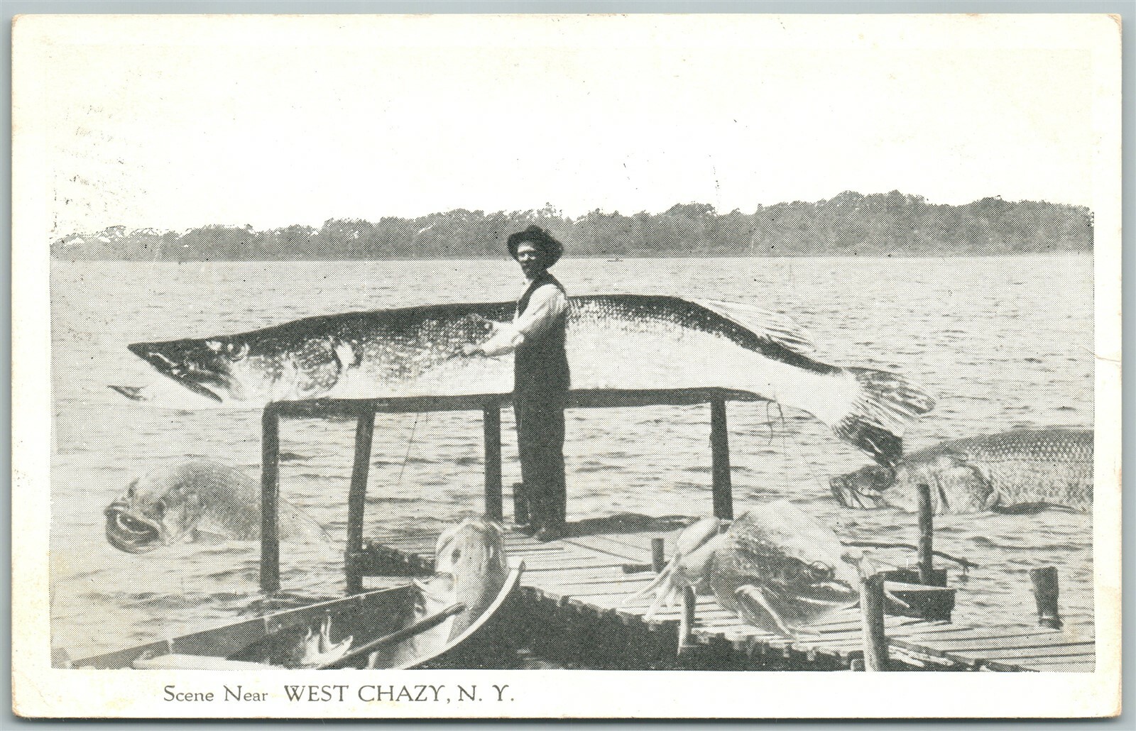 EXAGGERATED FISHING 1916 ANTIQUE POSTCARD WEST CHAZY N.Y. | eBay