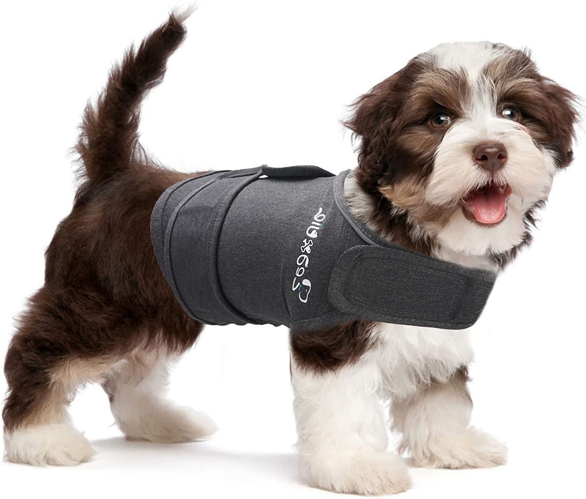 Thunder Buddy For Dogs DIY Thunder Strap That Really Works For