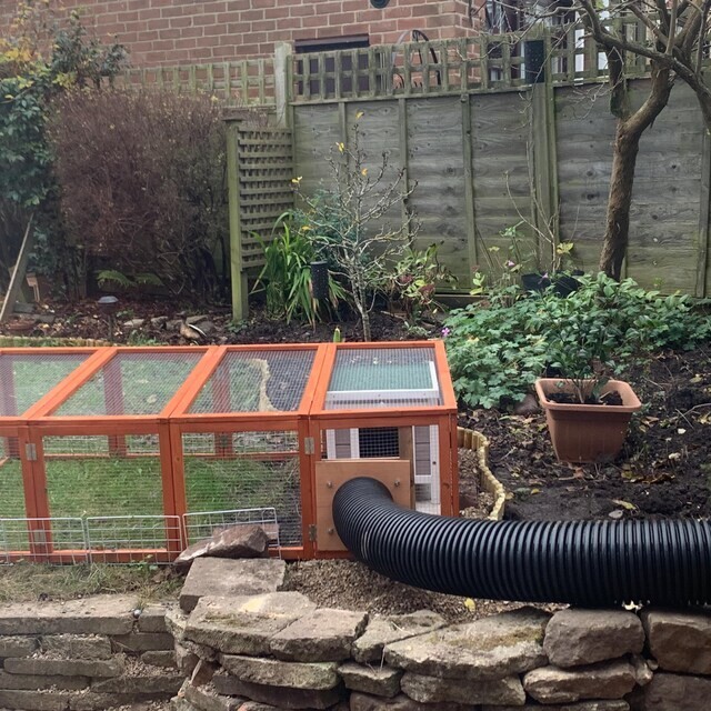 RWAF Approved Rabbit Tunnel, Flexible 6 inch & 8 inch Runaround Play ...