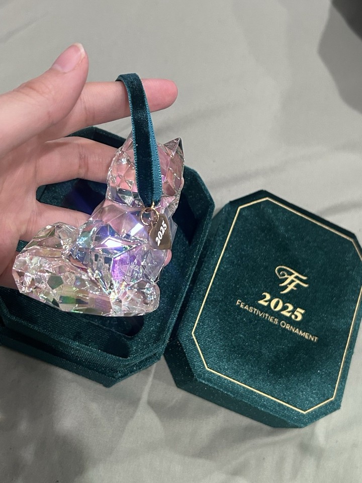 Fancy Feast 2025 Feastivities Holiday Ornament limited edition cat ...