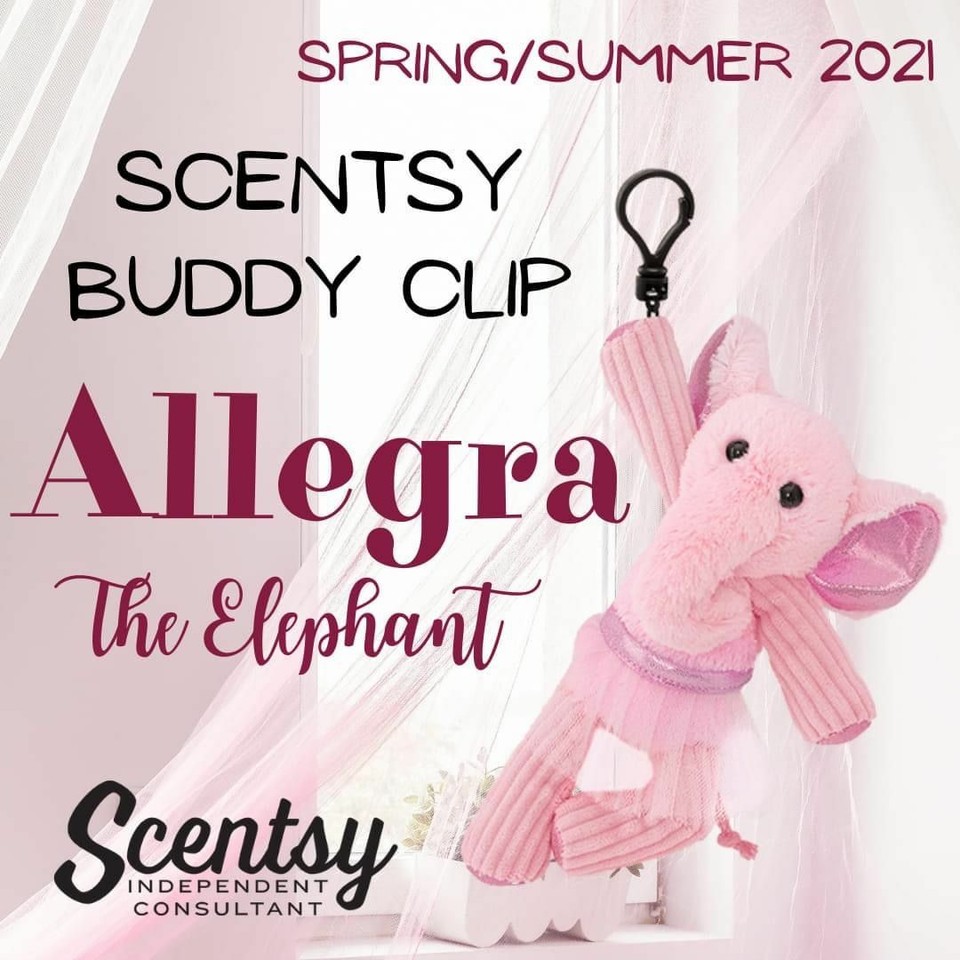 Scentsy BUDDY CLIP Blanket Buddy BITTY buddy SIDEKICK for baby * You ...