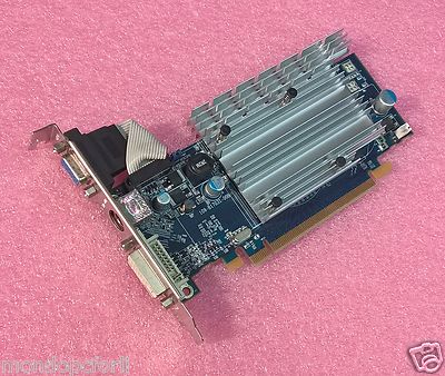 SCHEDA GRAFICA PCI EXPRESS 1GB SAPPIRE RADEON HD 3450 DVI VGA _ 256 MB ...