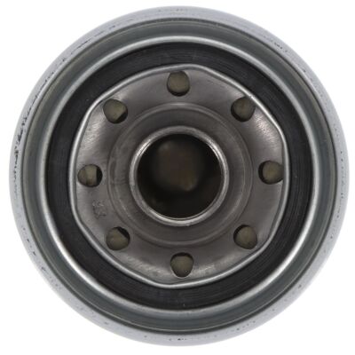 Donaldson Oil Filter P555680 | eBay Australia