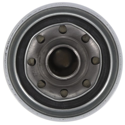 Donaldson Oil Filter P555680 | eBay Australia