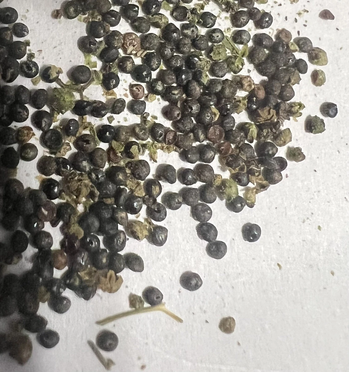 Flower Seed Identification Chart | Best Flower Site