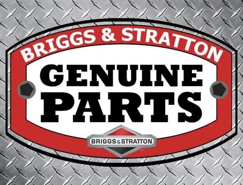 Briggs & Stratton 841497 Air Filter Cartridge, Primary GENUINE *4PK ...
