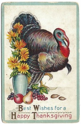 Happy Thanksgiving Turkey Embossed Gilt Letters Postcard 1916 - Fruit ...