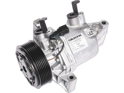 A/C Compressor For 2011-2012 Nissan Juke WN934SS A/C Compressor ...