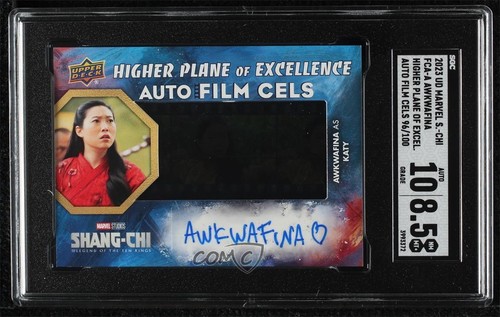 2023 Marvel Shang-Chi and The Legend of Ten Rings Awkwafina as Katy ...