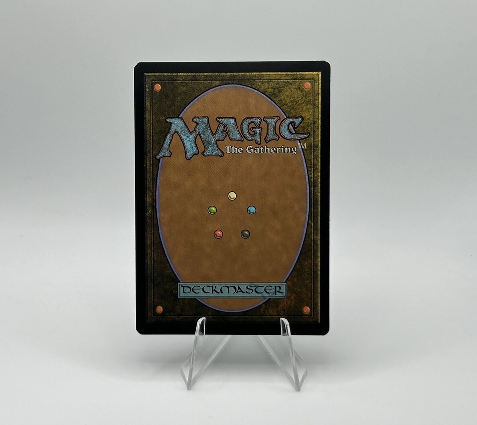 Basic Land Forest - Foil - Ixalan - Magic The Gathering MTG 278/279 XLN ...