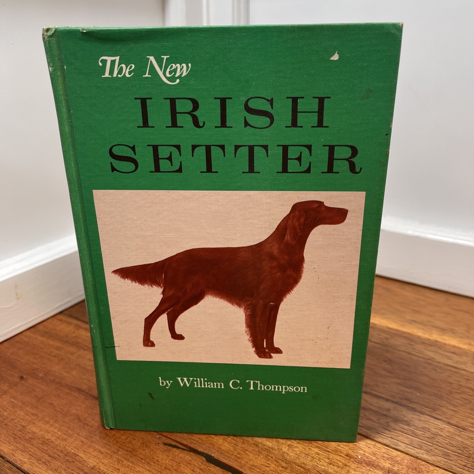 The New Irish Setter 1971 -William Thompson - History & Traits about ...