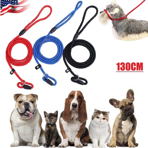 Dog Nylon Adjustable Loop Slip Rope Leash Lead Training Choke Pet ...