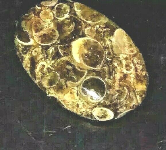 Natural fossilized Shells Agate Turritella loose cabochon Hand Polished ...