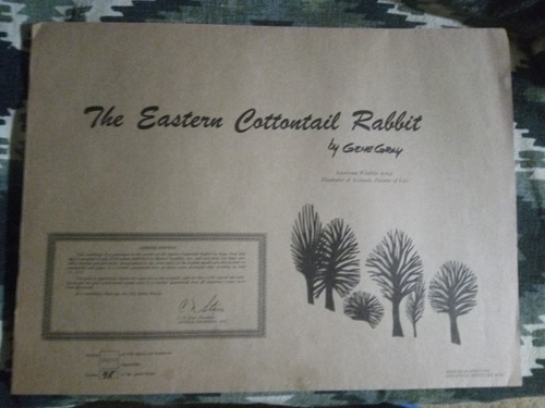 Gene Gray Vintage 1970 Eastern Cottontail Rabbit Print- Signed Art ...