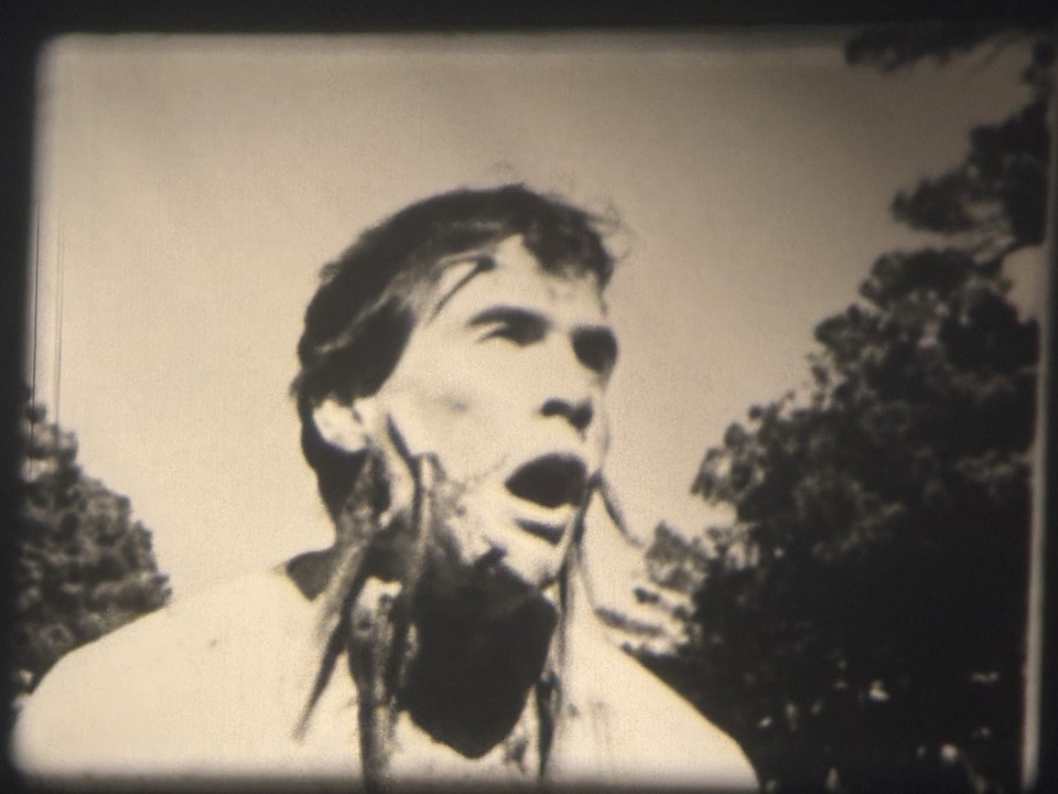 “Squirm” (1977) Super 8mm Film, Jeff Lieberman, B Horror, Man-Eating ...