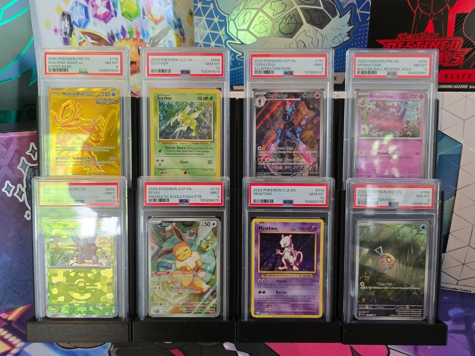 PSA graded Pokemon Slab Box | PSA 10 9 8 | Over 500 cards | Mewtwo ...