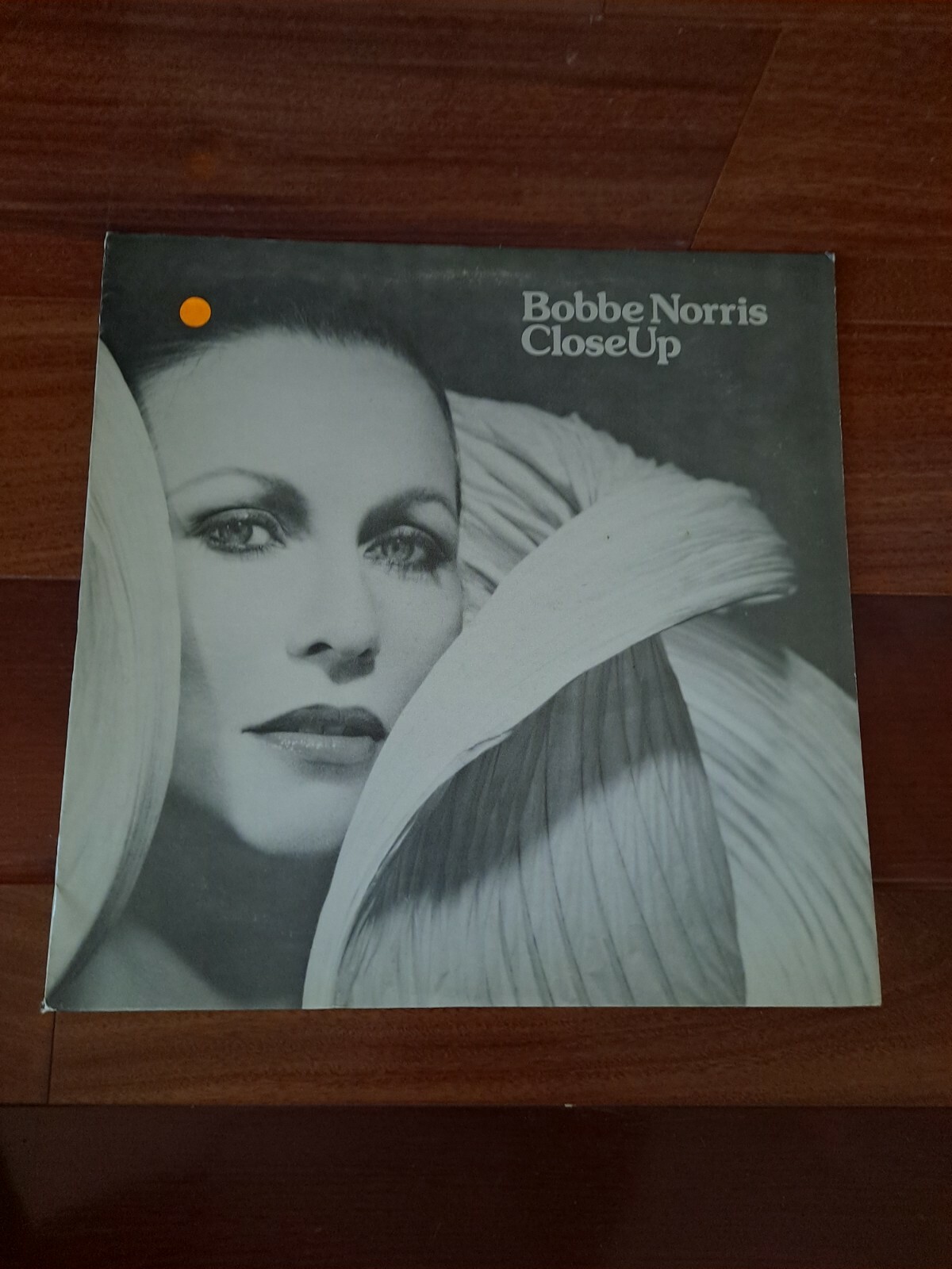 Bobbe Norris - Close Up LP - Four Directions VG++ 1981 | eBay