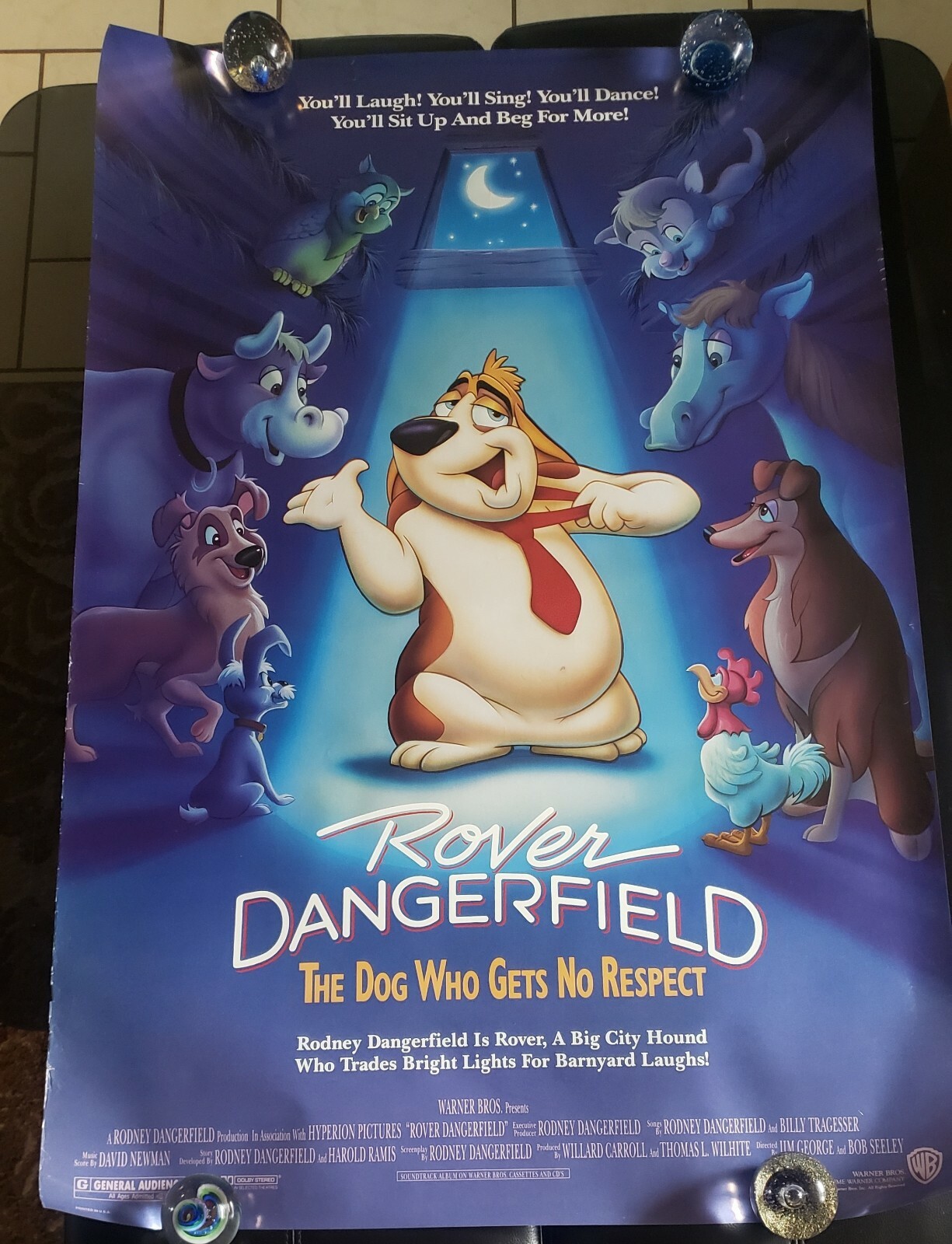 The Rover Movie Poster