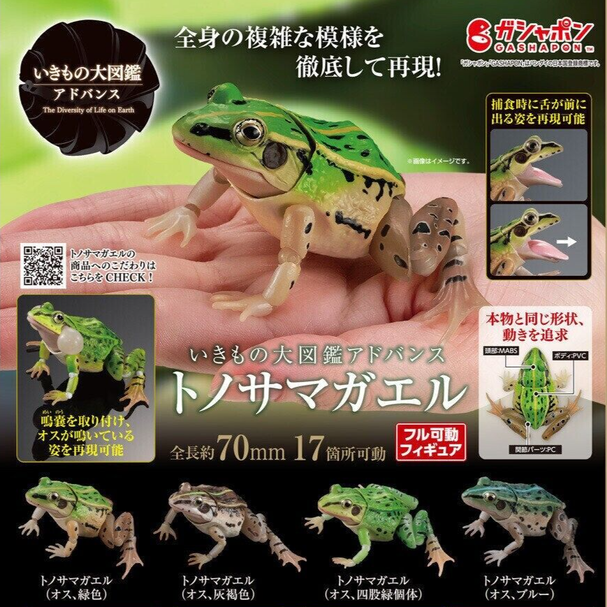 【Used】 Bandai Black-spotted Pond Frog Action Figure ADVANCE Male Blue ...
