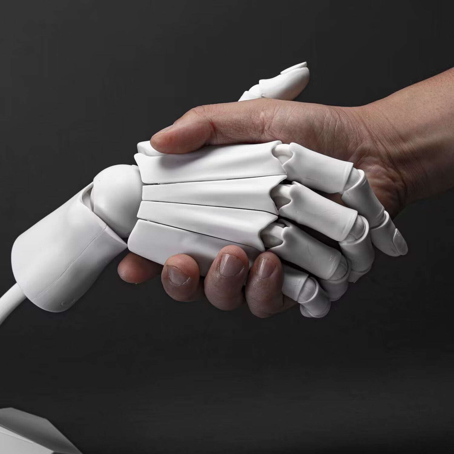 MANXAN ART Artist Support Item Right Hand Model 1:1 Scale Action Figure ...